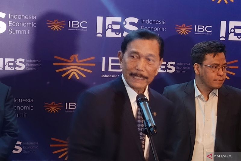 Luhut sebut sudah rekrut anak muda ciptakan AI buatan dalam negeri ...