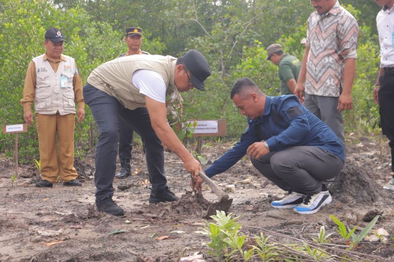 Pj Gubernur Bangka Belitung-HKM Wanamina tanam mangrove di Kota Kapur ...