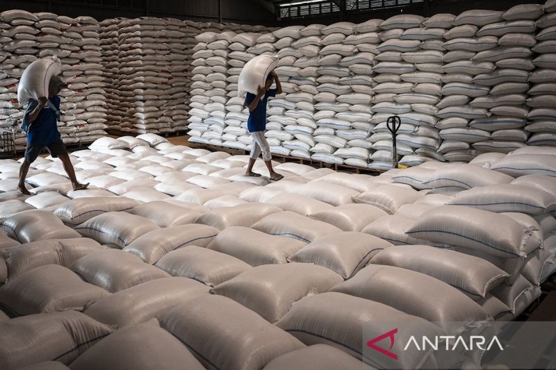 Bulog: Ketersediaan stok beras nasional aman hingga akhir Ramadhan - ANTARA News