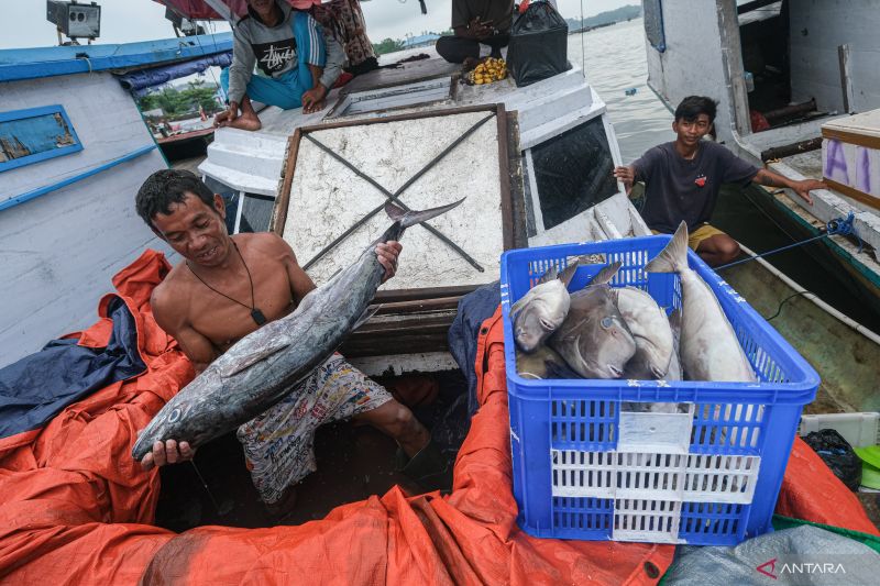 Jenis dan sebaran ikan tuna di Indonesia - ANTARA News