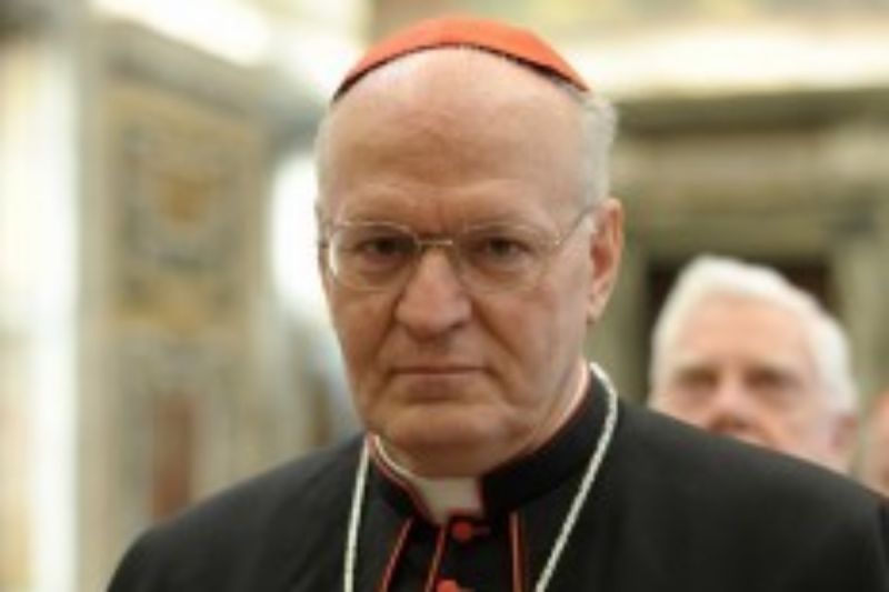 Sosok Peter Erdo, salah satu calon Paus pengganti asal Hungaria - ANTARA News