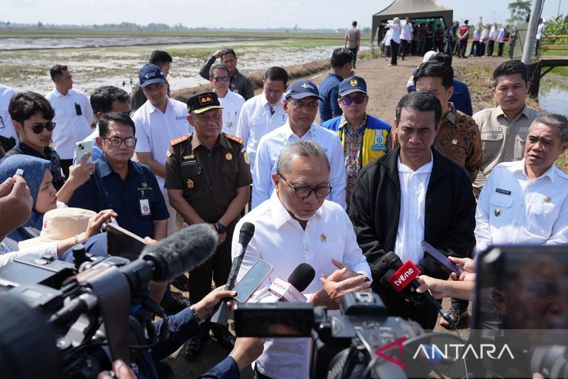 Stok beras cukup, Zulhas: RI tidak akan impor beras hingga 2026 ...
