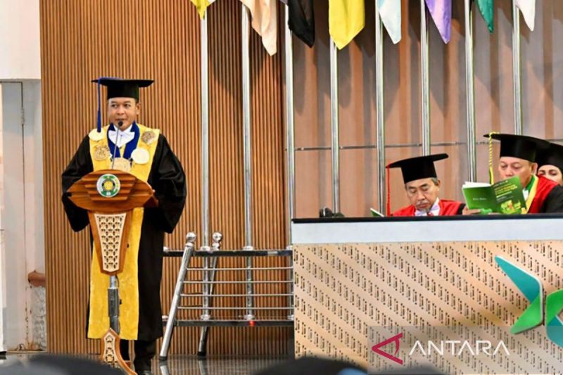 Rektor USU: Adaptasi dan inovasi kunci sukses hadapi era digital ...