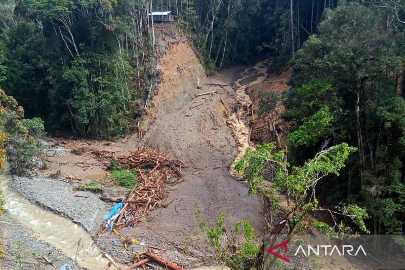 19 warga hilang akibat banjir bandang & longsor di Pegunungan Arfak - ANTARA News