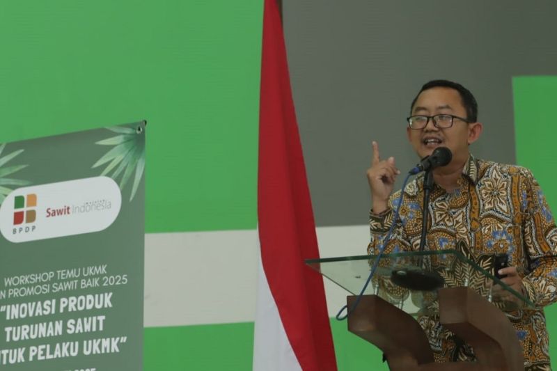 BPDP ajak UKMK tangkap peluang bisnis produk turunan sawit - ANTARA News