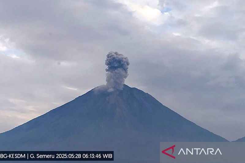 Gunung Semeru kembali erupsi dengan letusan setinggi 1.200 meter - ANTARA News