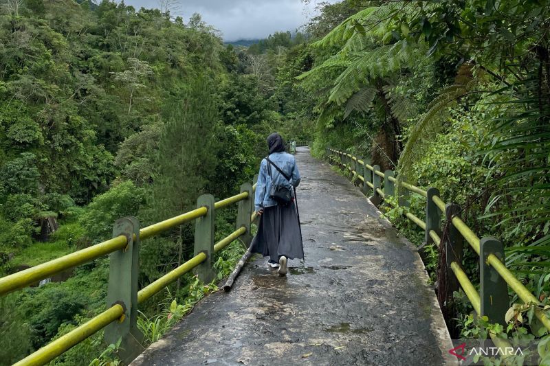Plunyon Kalikuning, Wisata alam di lereng Merapi - ANTARA News ...