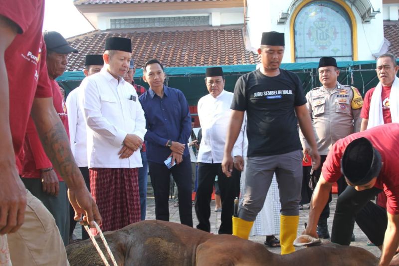 Bupati Kepulauan Seribu pastikan distribusi daging kurban merata ...