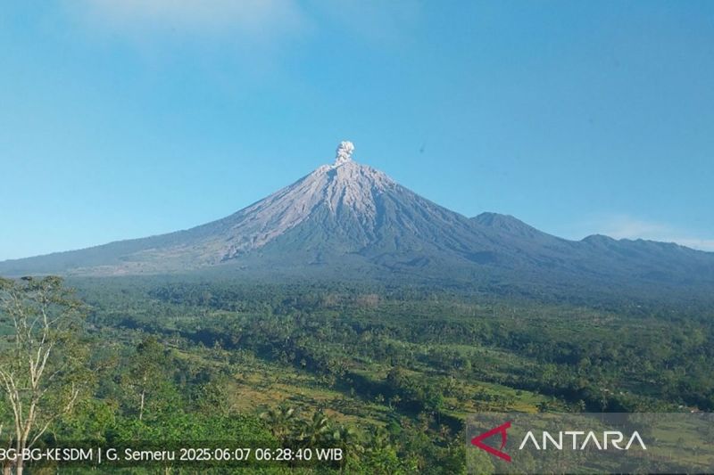 Lima kali erupsi Gunung Semeru dengan tinggi letusan hingga 900 meter - ANTARA News