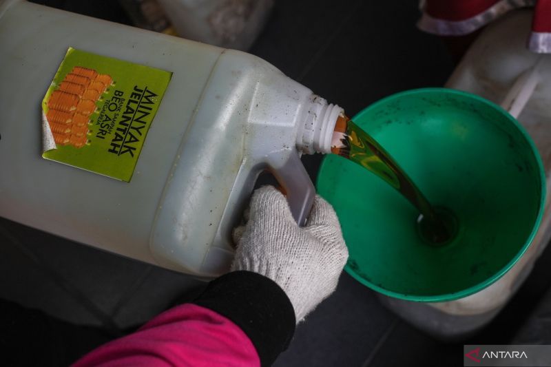Indonesia to ban palm oil waste exports to drive energy independence ...