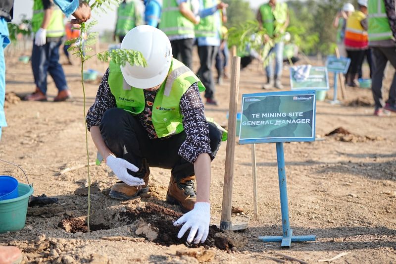 Green Mining, Bukit Asam (PTBA) tanam ratusan pohon di lahan ...