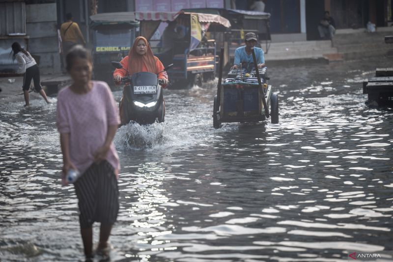 Waspadai rob di pesisir Jakarta Utara hingga 9 Agustus 2025 - ANTARA News