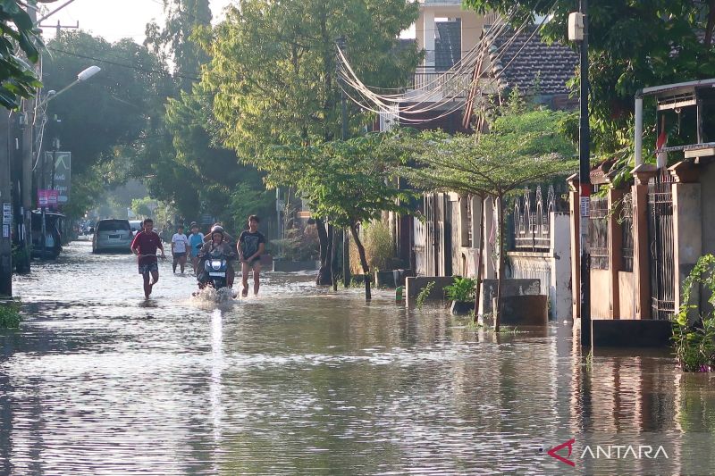 BPBD NTB catat sebanyak 30 ribu jiwa terdampak banjir di Mataram - ANTARA News