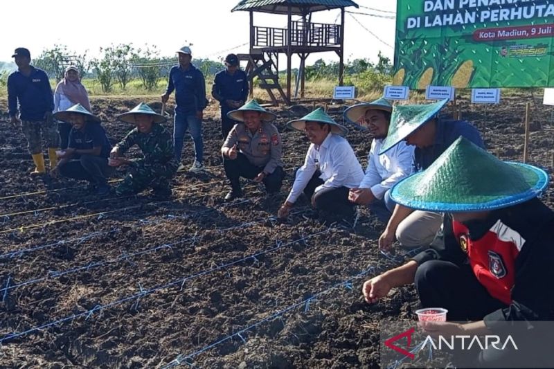 Polres Madiun dan Pemkot tanam jagung guna dukung swasembada pangan - ANTARA News Jawa Timur