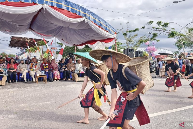 Pawai Budaya Festival PHS 2025 meriahkan Hari Jadi ke-23 Kabupaten ...