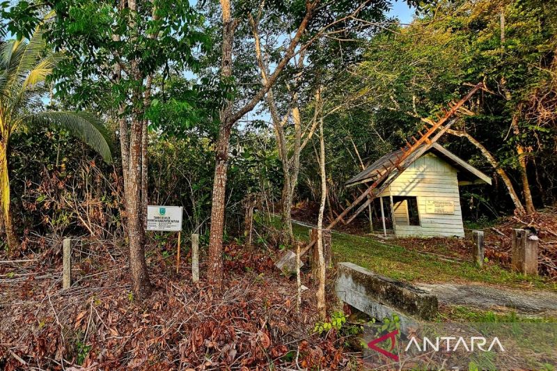 Natuna tetapkan 39,4 hektare lahan jadi kawasan konservasi kekah ...