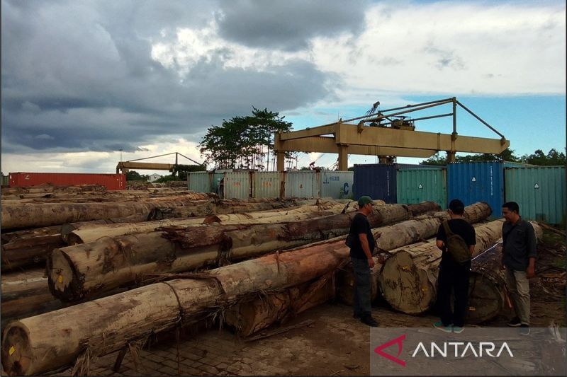 Kemenhut tetapkan lima tersangka kasus peredaran kayu ilegal di Kalbar ...