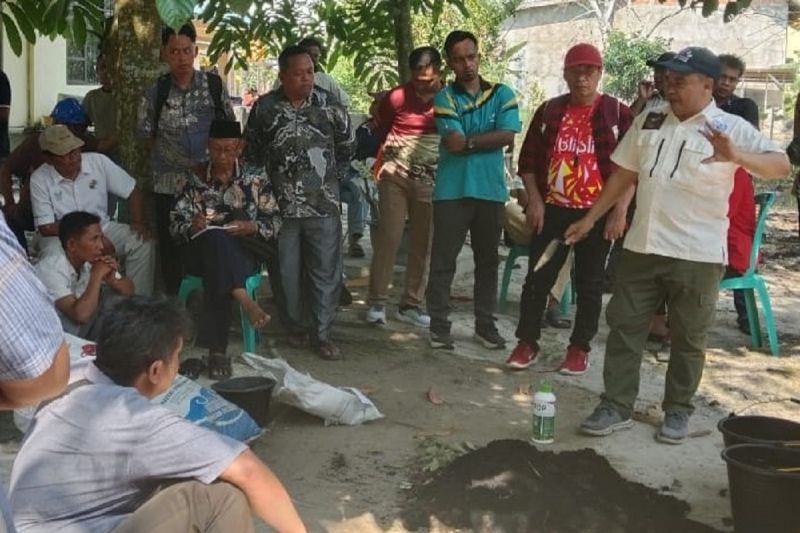 BPDP: Pemanfaatan biochar tankos sawit tekan penggunaan pupuk kimia ...