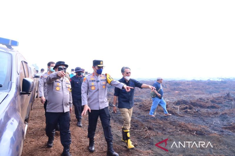 Kapolda perintah Dirkrimsus selidiki kasus karhutla di Gambut Jaya ...