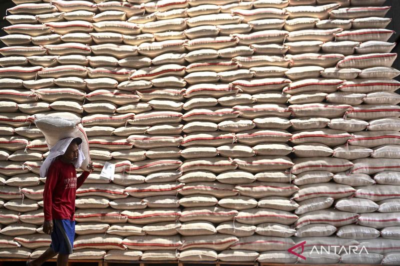 Realisasi penyerapan beras dalam negeri hingga awal Agustus 2025 mencapai 188,4 ribu ton ...