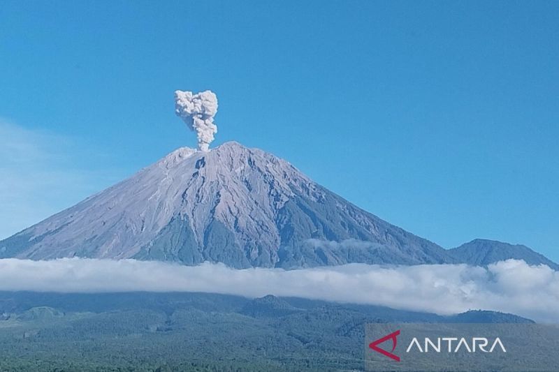 Gunung Semeru erupsi lima kali dengan tinggi letusan hingga 1 km - ANTARA News