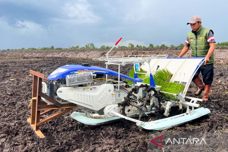 Brigade Pangan, Kementan pacu petani milenial kelola pertanian modern - ANTARA News