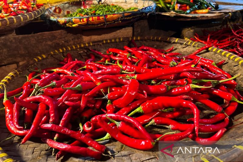 Bapanas rilis harga pangan: Cabai rawit Rp43.405/kg, bawang merah Rp43.872/kg - ANTARA News Jawa ...