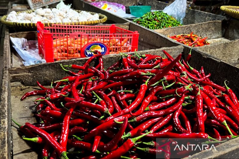 Bapanas rilis harga pangan: Cabai rawit Rp42.548/kg, bawang merah Rp43.973/kg - ANTARA News Jawa ...