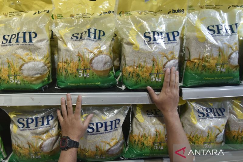 Bapanas naikkan HET beras medium jadi Rp13.500/kg - ANTARA News Banten