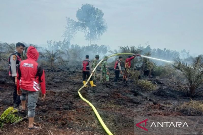 Kebakaran lahan seluas lima hektare di Nagan Raya Aceh sudah padam - ANTARA News