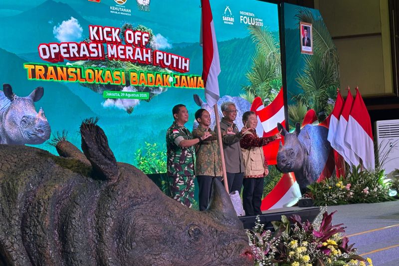 Kemenhut mulai Operasi Merah Putih untuk translokasi badak jawa ...