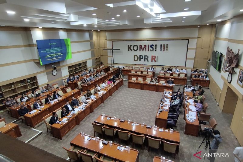 Lokataru singgung Delpedro saat sampaikan aspirasi revisi KUHAP di DPR - ANTARA News