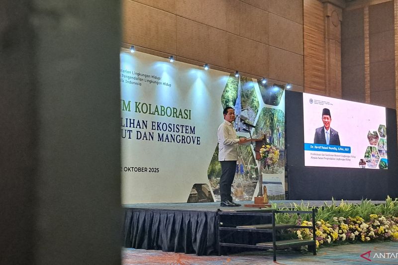 Indonesia urges firms to boost peatland restoration efforts - ANTARA News