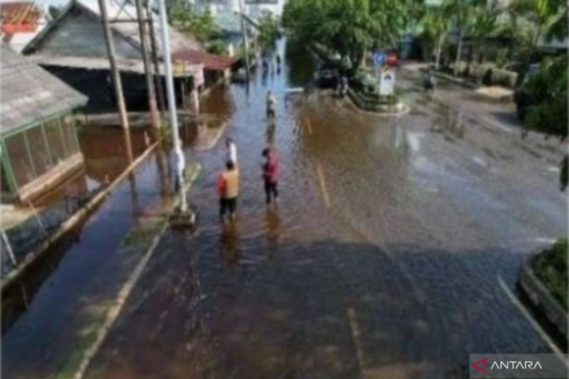 Hujan dan pasang laut picu banjir di Dumai, 141 rumah warga terdampak ...