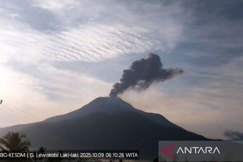 Bandara Frans Seda Maumere tutup sementara dampak erupsi Lewotobi ...