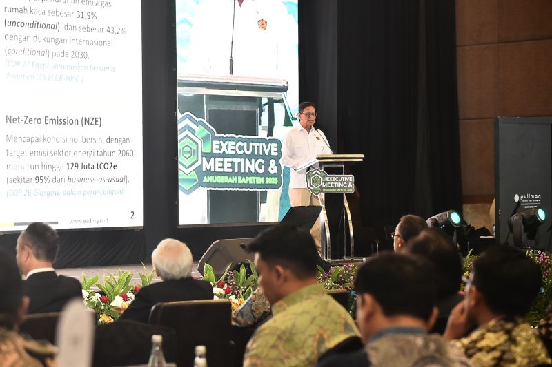 Nuclear power becomes Indonesia's strategic energy option: govt ...
