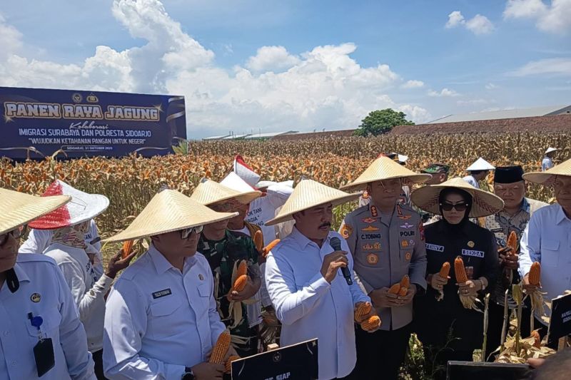 Ministry supports national food security by harvesting corn in E Java ...
