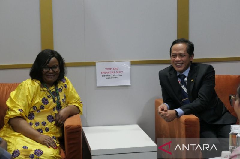 Indonesia, Congo nations launch global tropical peatland center ...