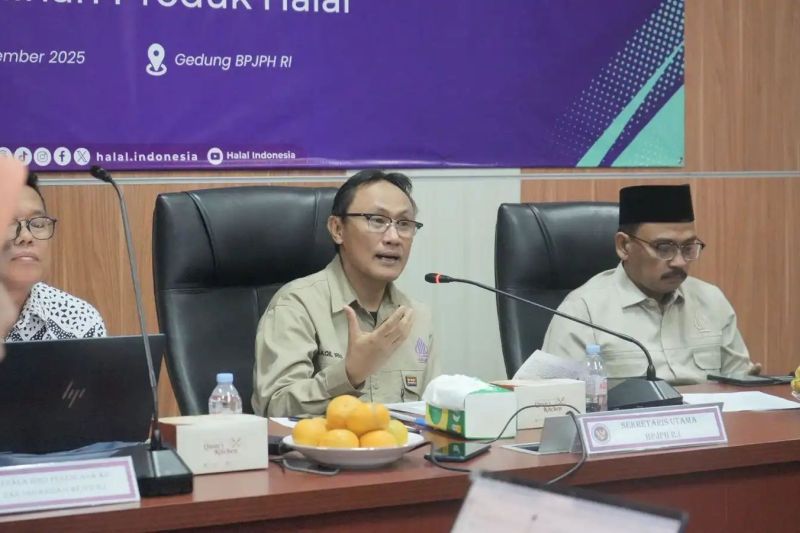 BPJPH: Standar halal dukung keberlanjutan ekosistem halal nasional ...