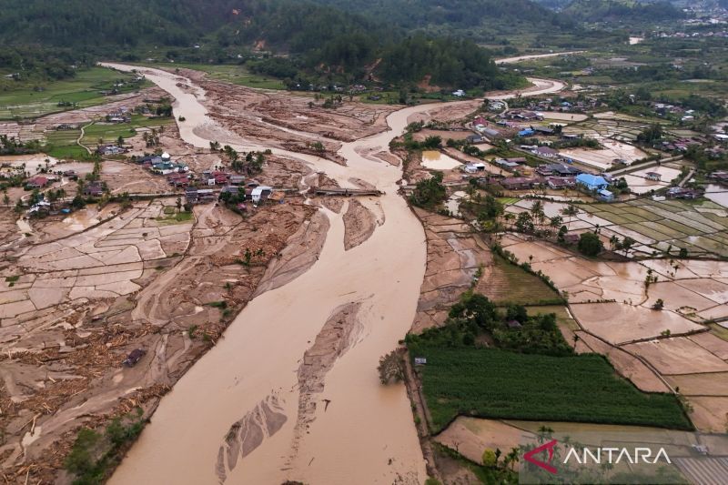 Cek fakta, video hiu saat banjir di Sumatera Barat - ANTARA News