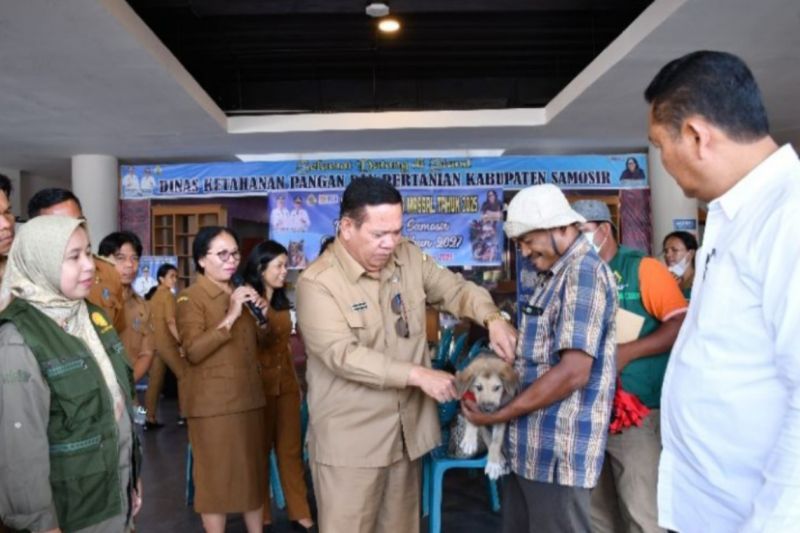 Samosir gelar vaksinasi rabies massal, target bebas rabies 2027 ...