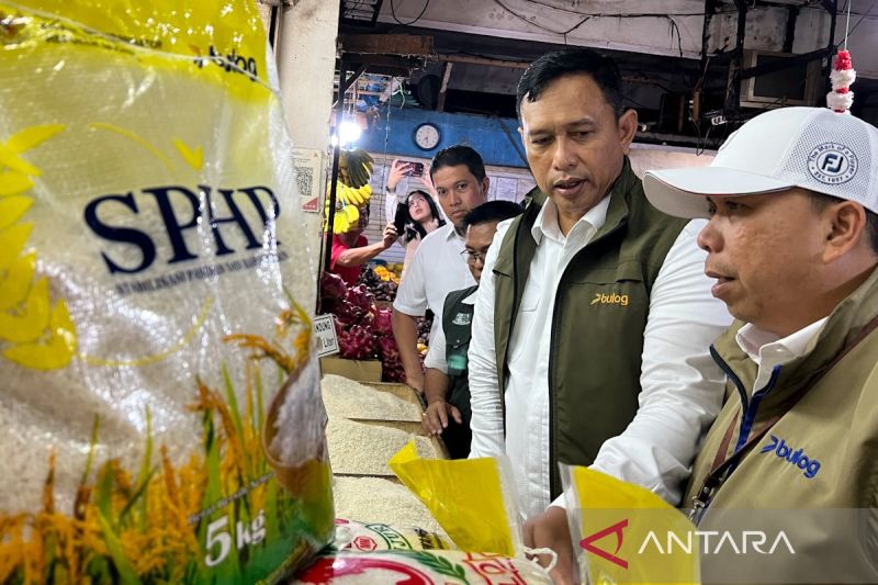 Dirut Bulog: Realisasi penyaluran beras SPHP capai 784 ribu ton lebih ...