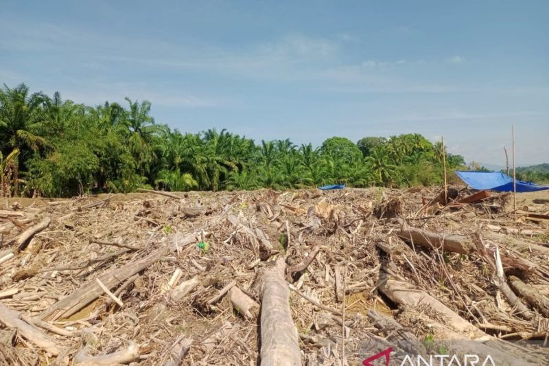 Banjir Sumatera: Ketika alam "bicara" melalui sisa-sisa tubuhnya ...