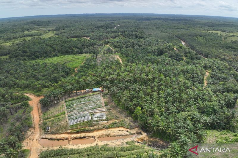 Bank Tanah dampingi warga terdampak PSN kelola lahan reforma agraria ...