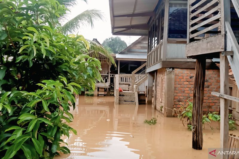 Ratusan rumah warga Gunung Meraksa OKU terendam banjir luapan sungai ...