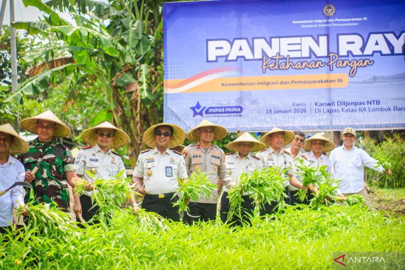 Lapas Lombok Barat panen 3,8 ton padi dan 300 kg sayur kangkung ...