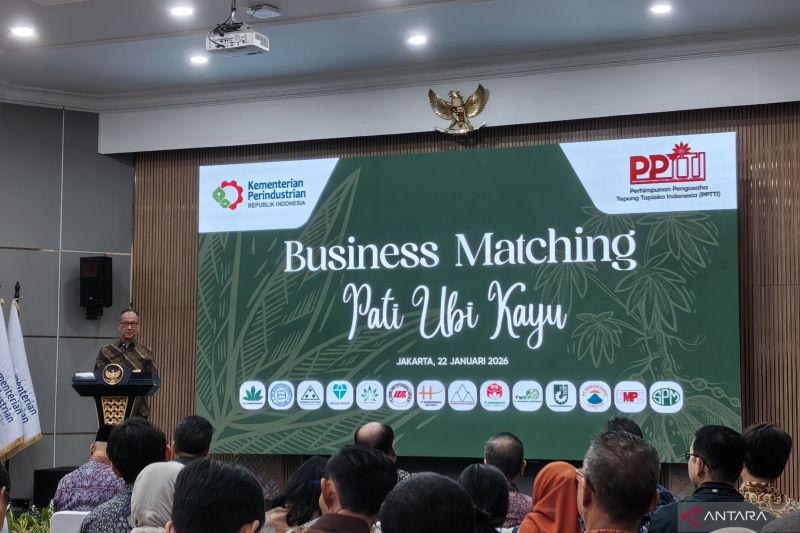 Indonesia pushes domestic tapioca starch industry to cut imports ...
