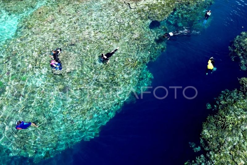 Indonesia, US launch $35M debt-swap program for coral reef protection ...
