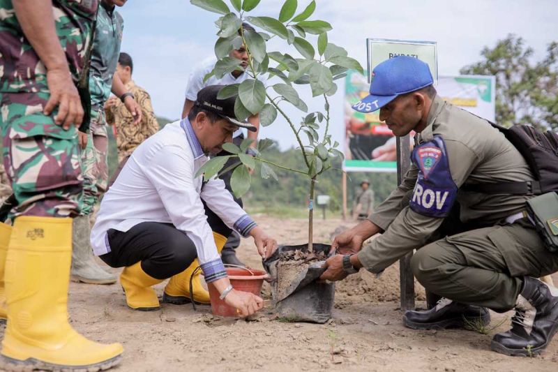 Pidie Jaya tanam 300 pohon untuk pemulihan lahan pascabencana - ANTARA News
