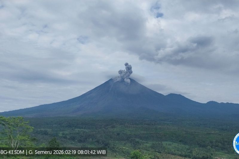 Mount Semeru erupts, ash plume rises 800 meters - ANTARA News